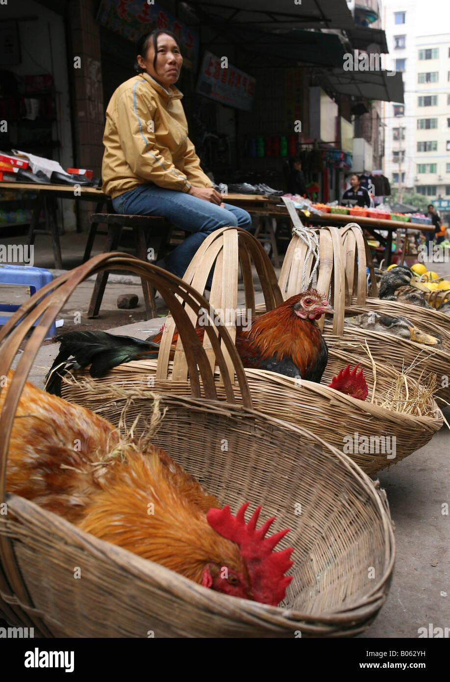 A market area in a relocation city on the Yangtze River. Chickens ready ...