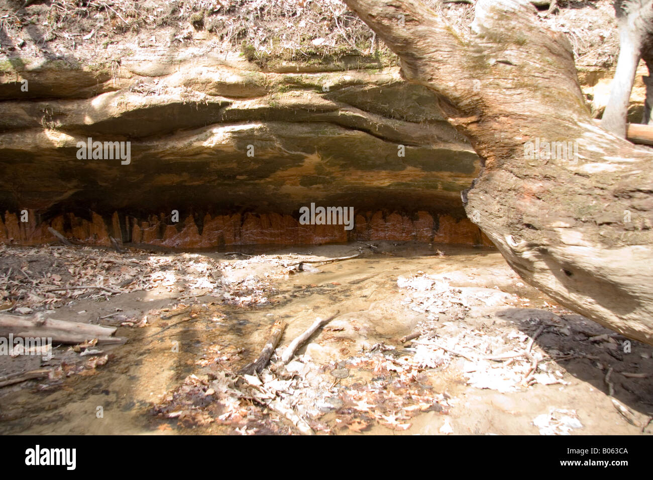 Starved Rock State Park Stock Photo - Alamy
