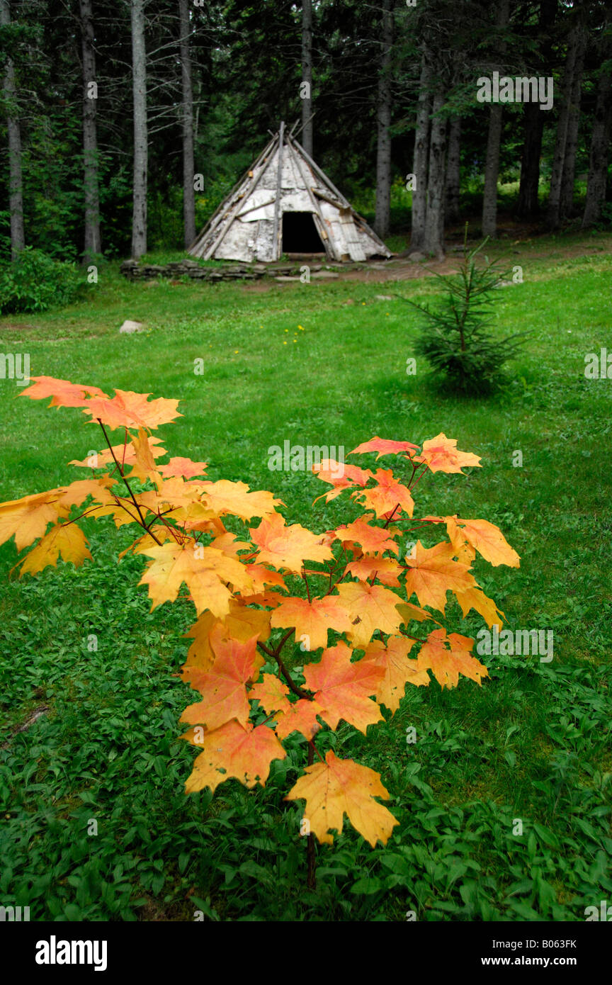 Canada, Quebec, Gaspe. Micmac First Nation Indian Village, birch bark ...