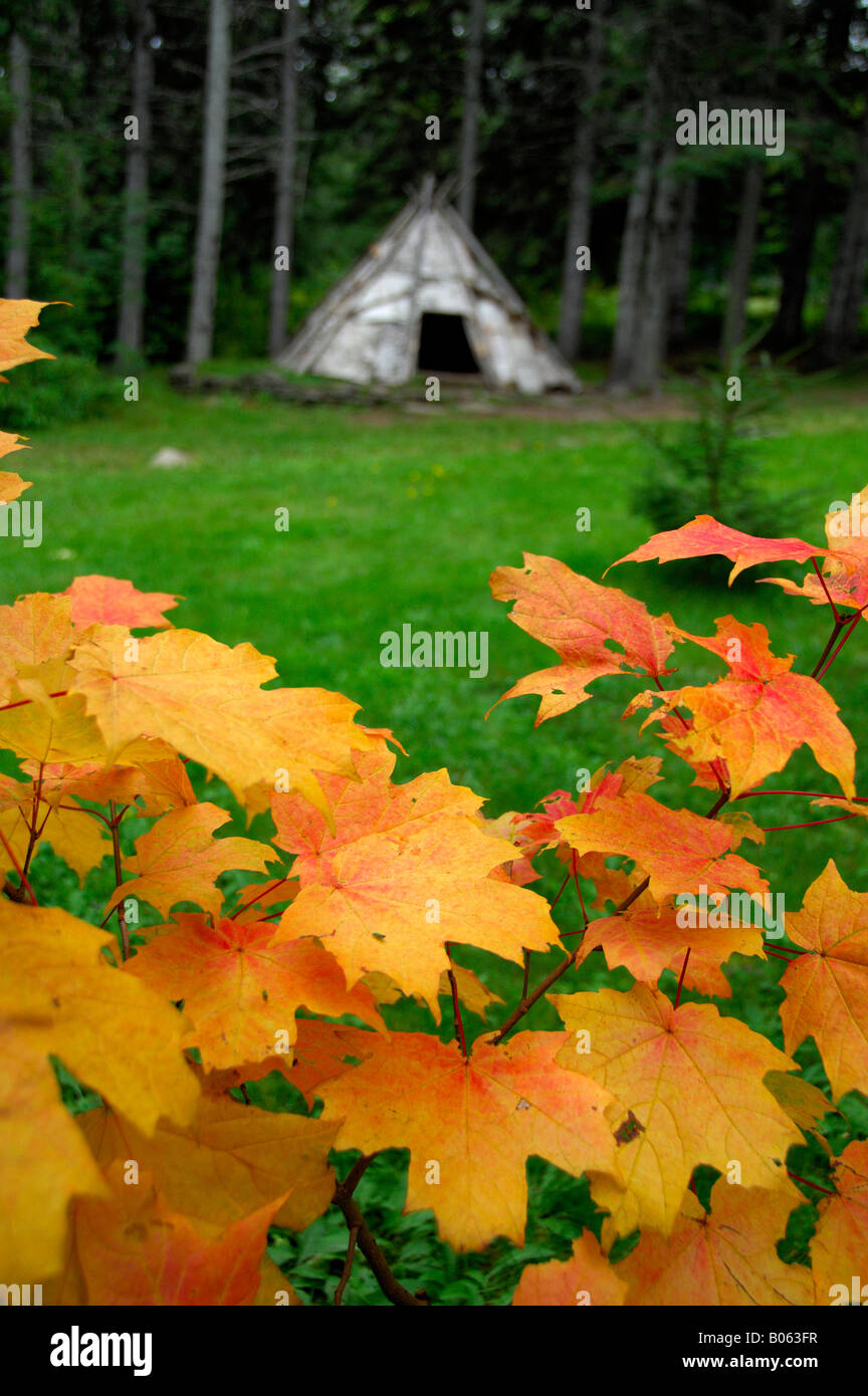 Canada, Quebec, Gaspe. Micmac First Nation Indian Village, birch bark ...