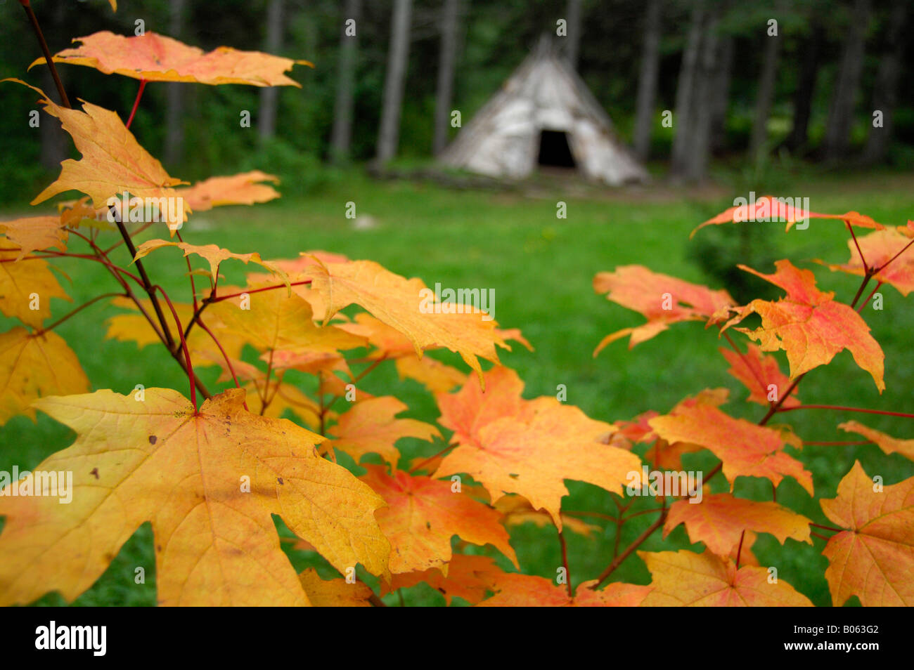 Canada, Quebec, Gaspe. Micmac First Nation Indian Village, birch bark ...