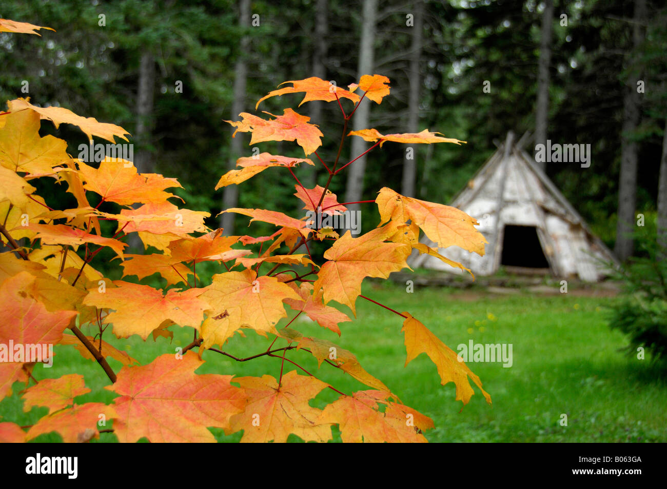 Canada, Quebec, Gaspe. Micmac First Nation Indian Village, birch bark ...