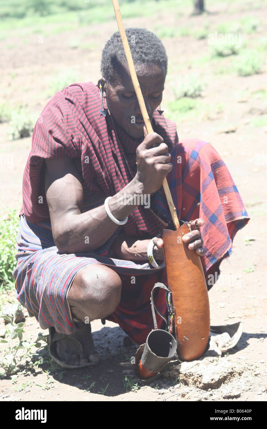 Africa Tanzania Lake Eyasi Maasai man preparing blood milk with blood ...