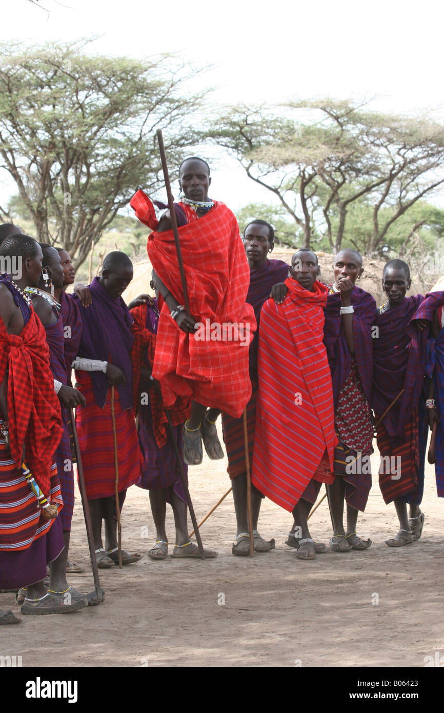 Africa Tanzania A group of Maasai men dancing a traditional dance An ...