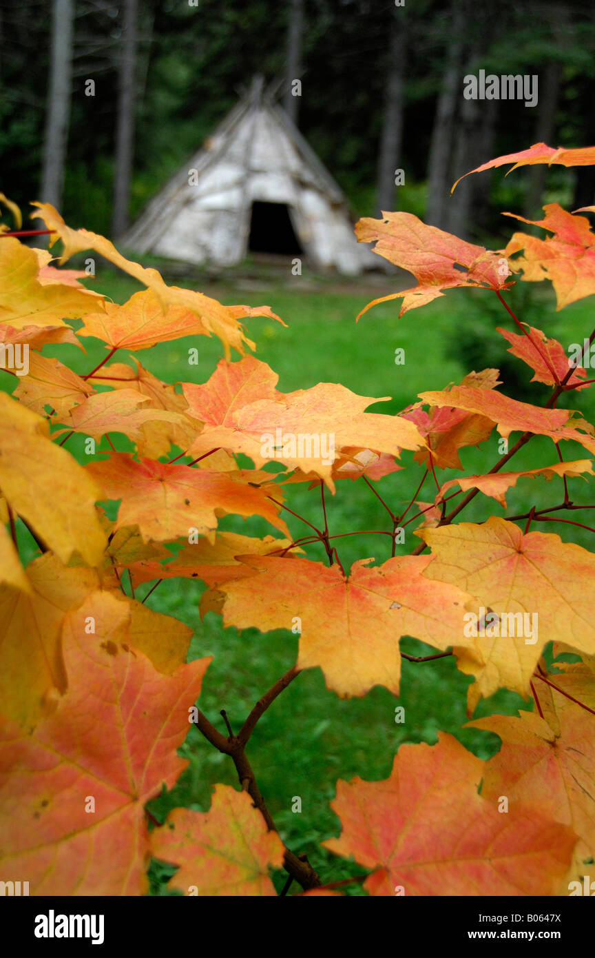 Canada, Quebec, Gaspe. Micmac First Nation Indian Village, birch bark ...