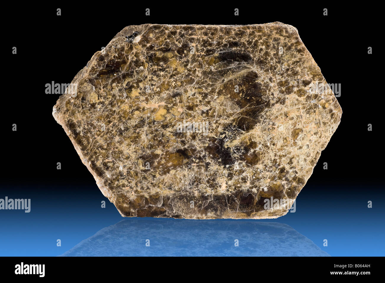 Phlogophite hi-res stock photography and images - Alamy