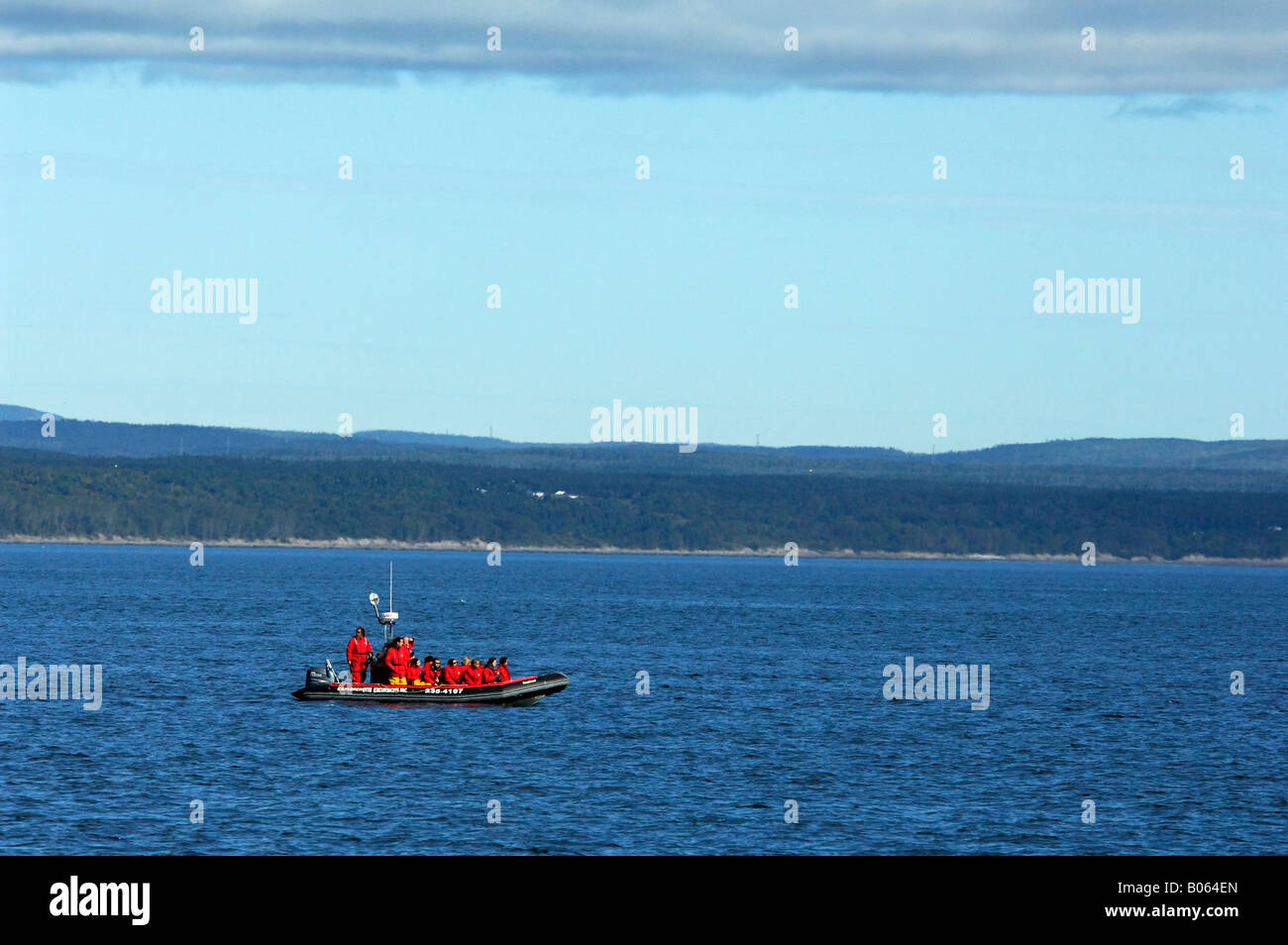 Canada, Quebec. Whale watching on the St. Lawrence River. Saguenay ...