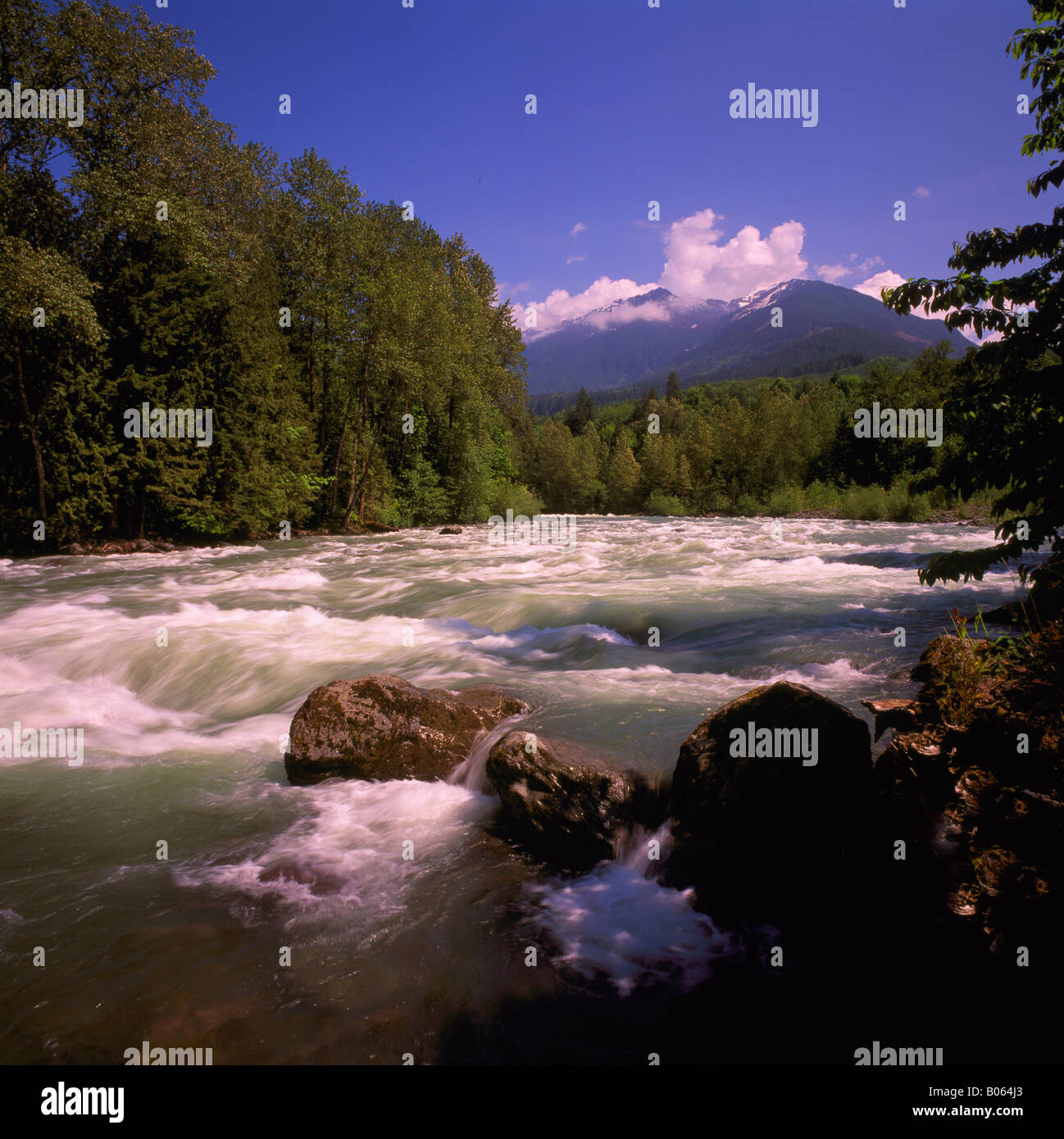 Chilliwack Fraser River Stock Photos & Chilliwack Fraser River Stock ...