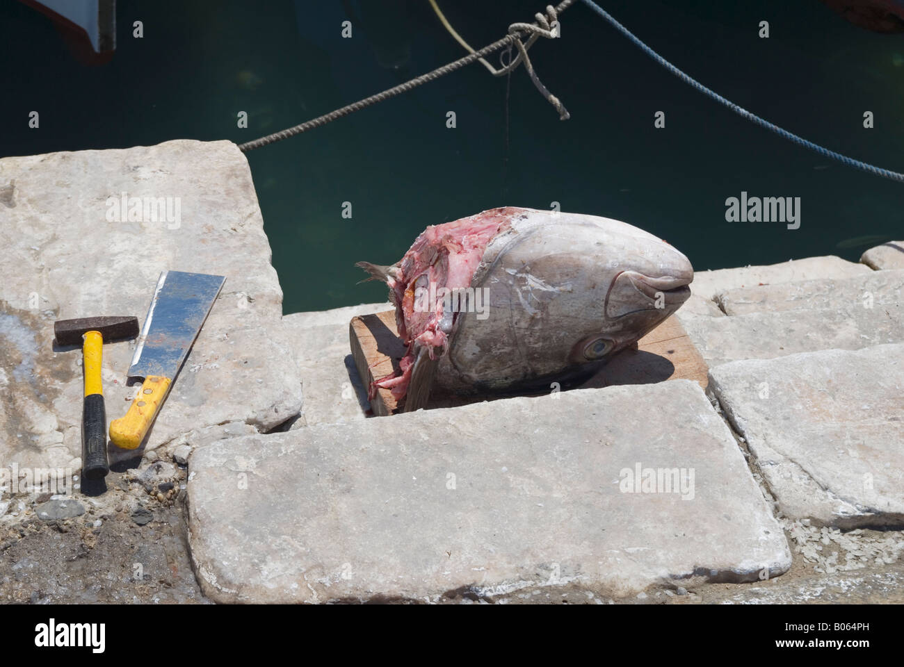 Hammer horror hi-res stock photography and images - Alamy