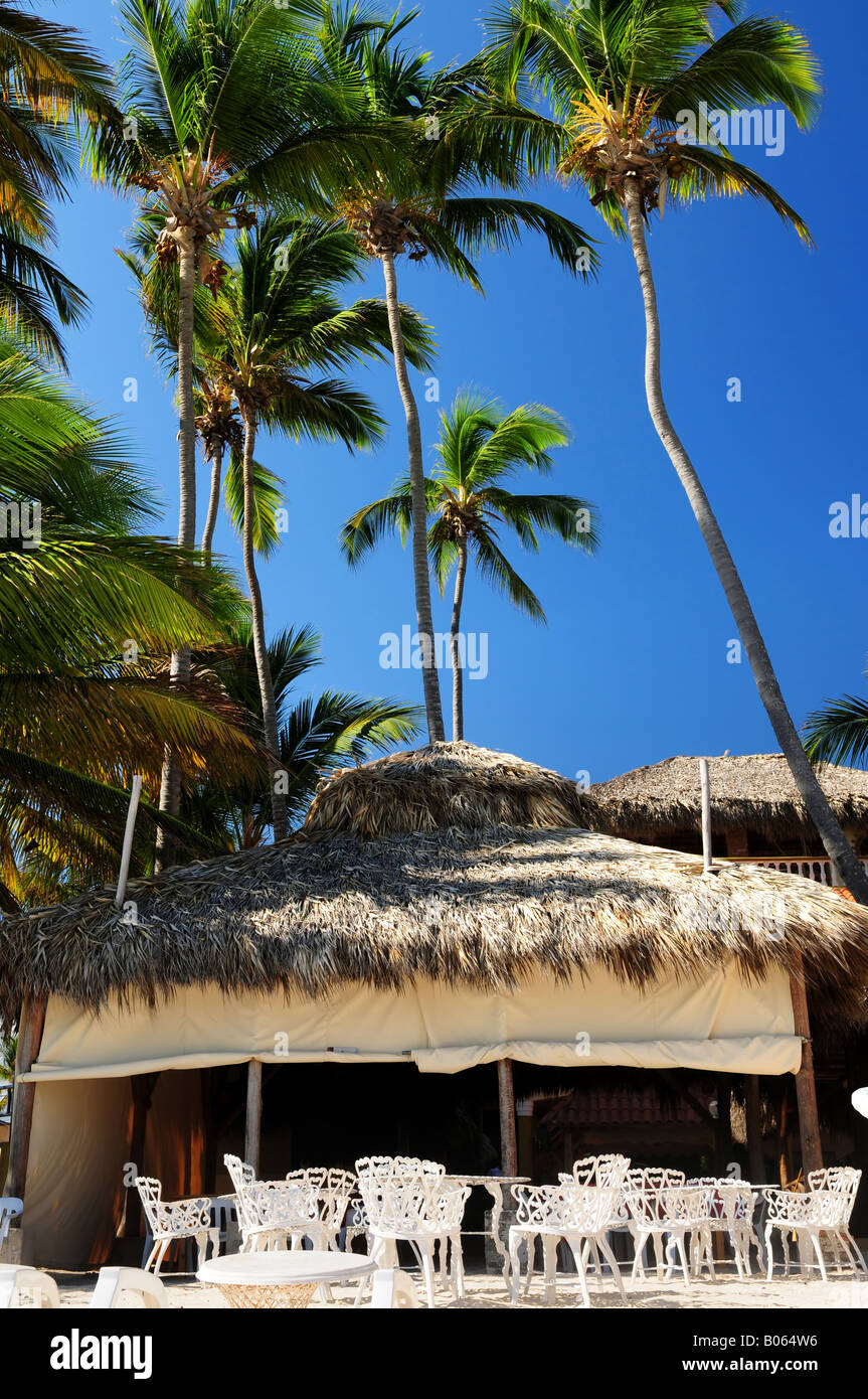 Outdoor restaurant on tropical beach with palm trees Stock Photo - Alamy