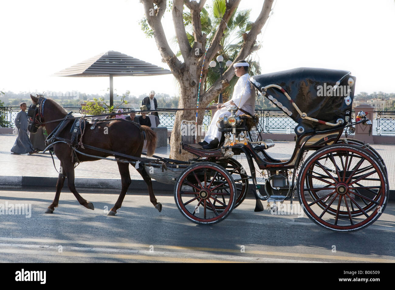 Caleche on the Corniche at Luxor Egypt Stock Photo - Alamy