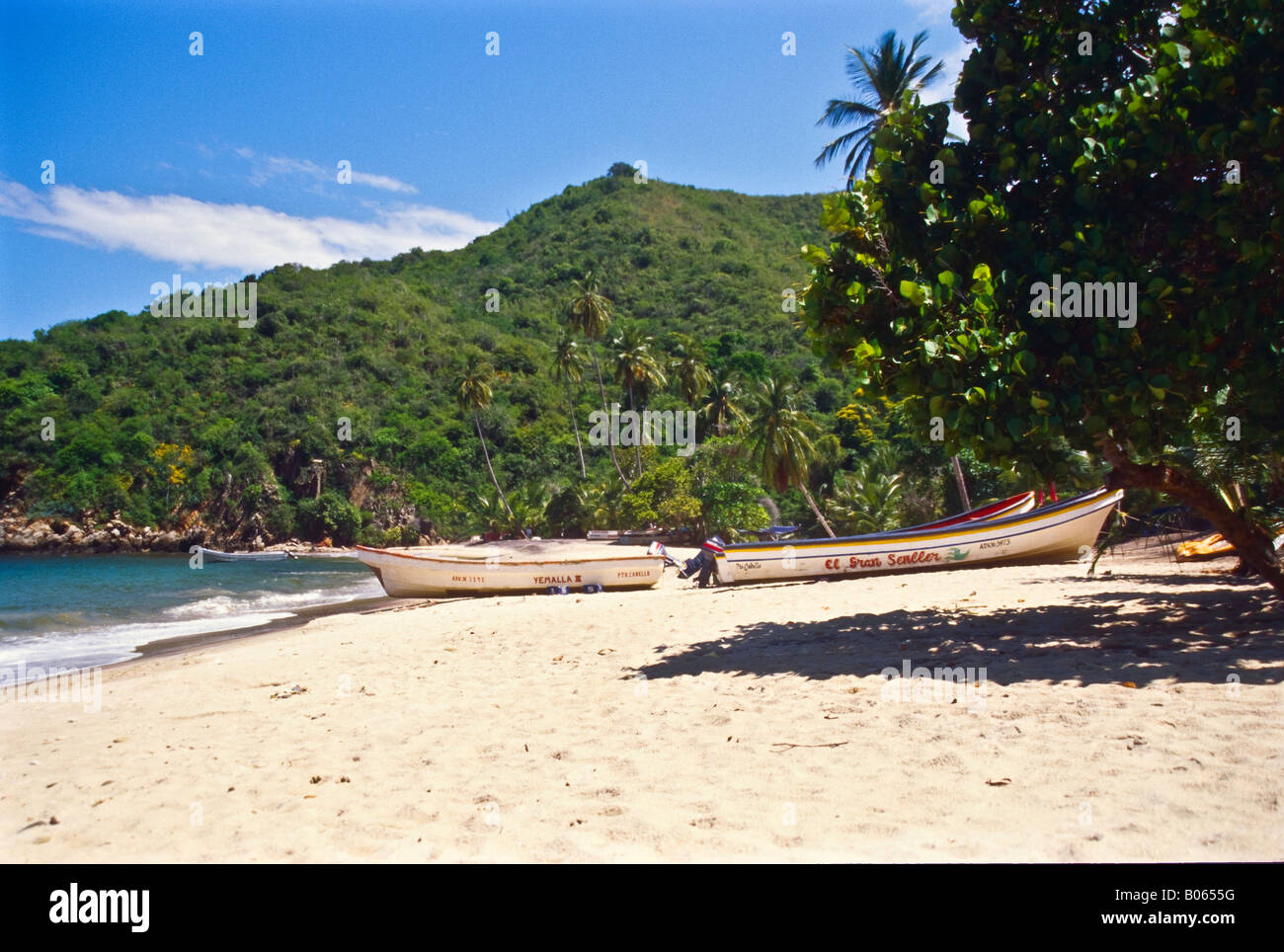 Beach near Choroni Stock Photo - Alamy