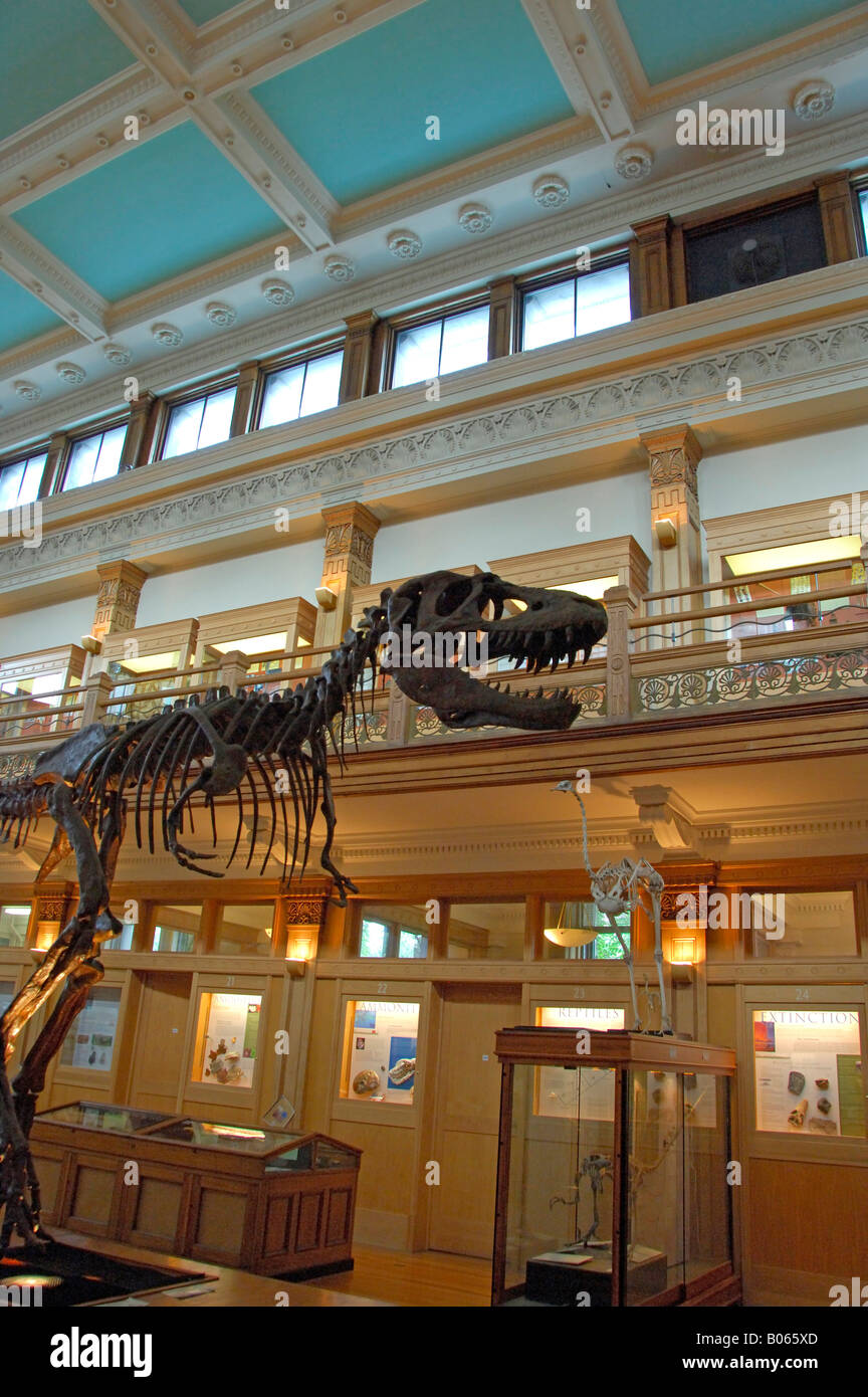 Redpath museum hi-res stock photography and images - Alamy