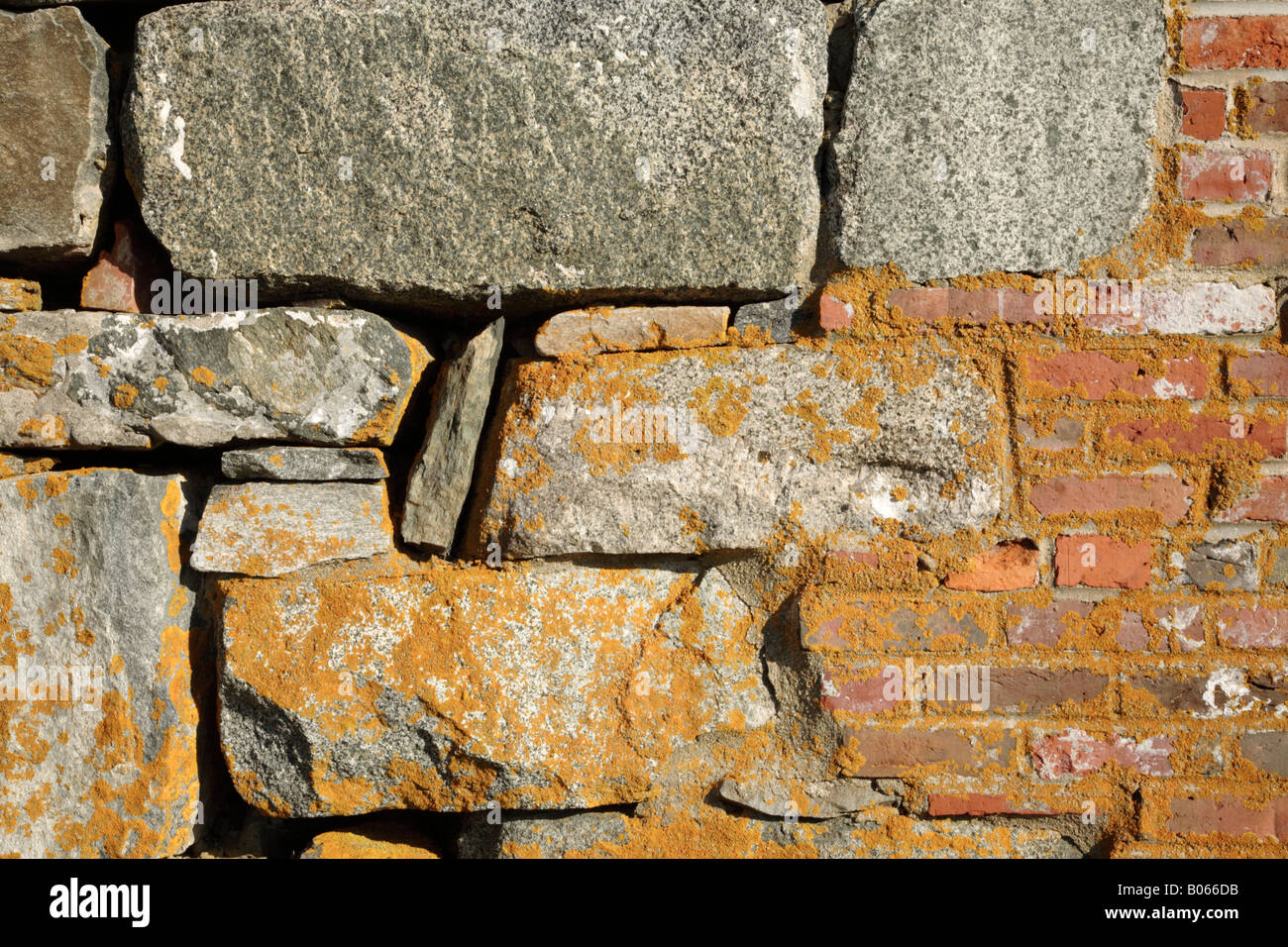 Fort Constitution during the spring months Located in New Castle New ...