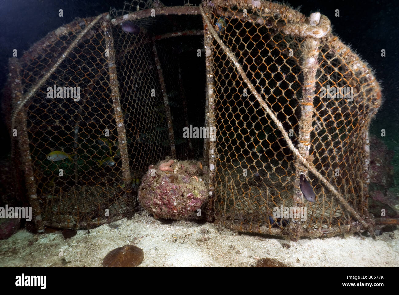 Fishing cage secured with a big stone under water Stock Photo - Alamy