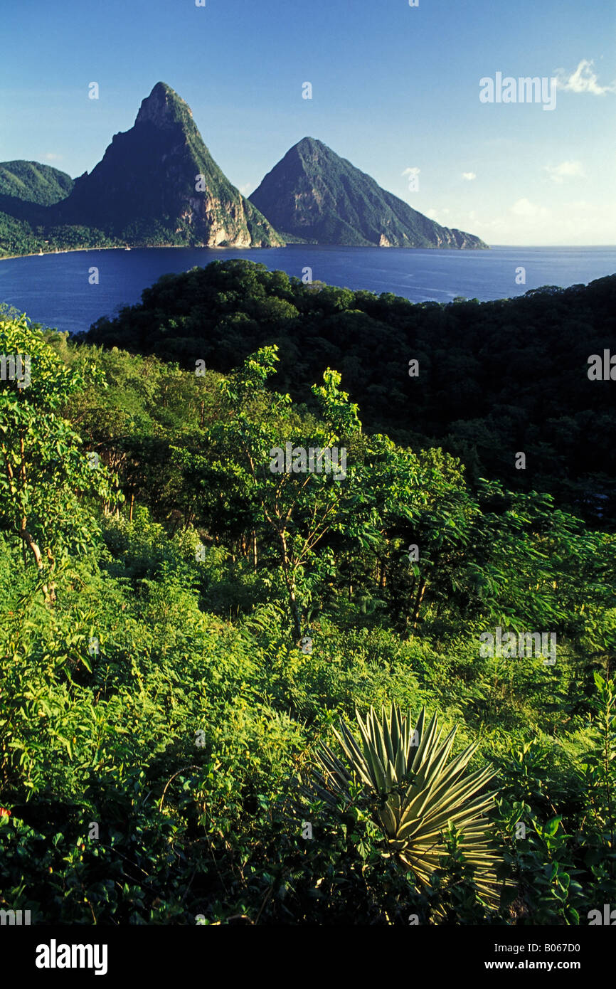 Gros Piton along with its twin peak Petit Piton St Lucia Caribbean ...