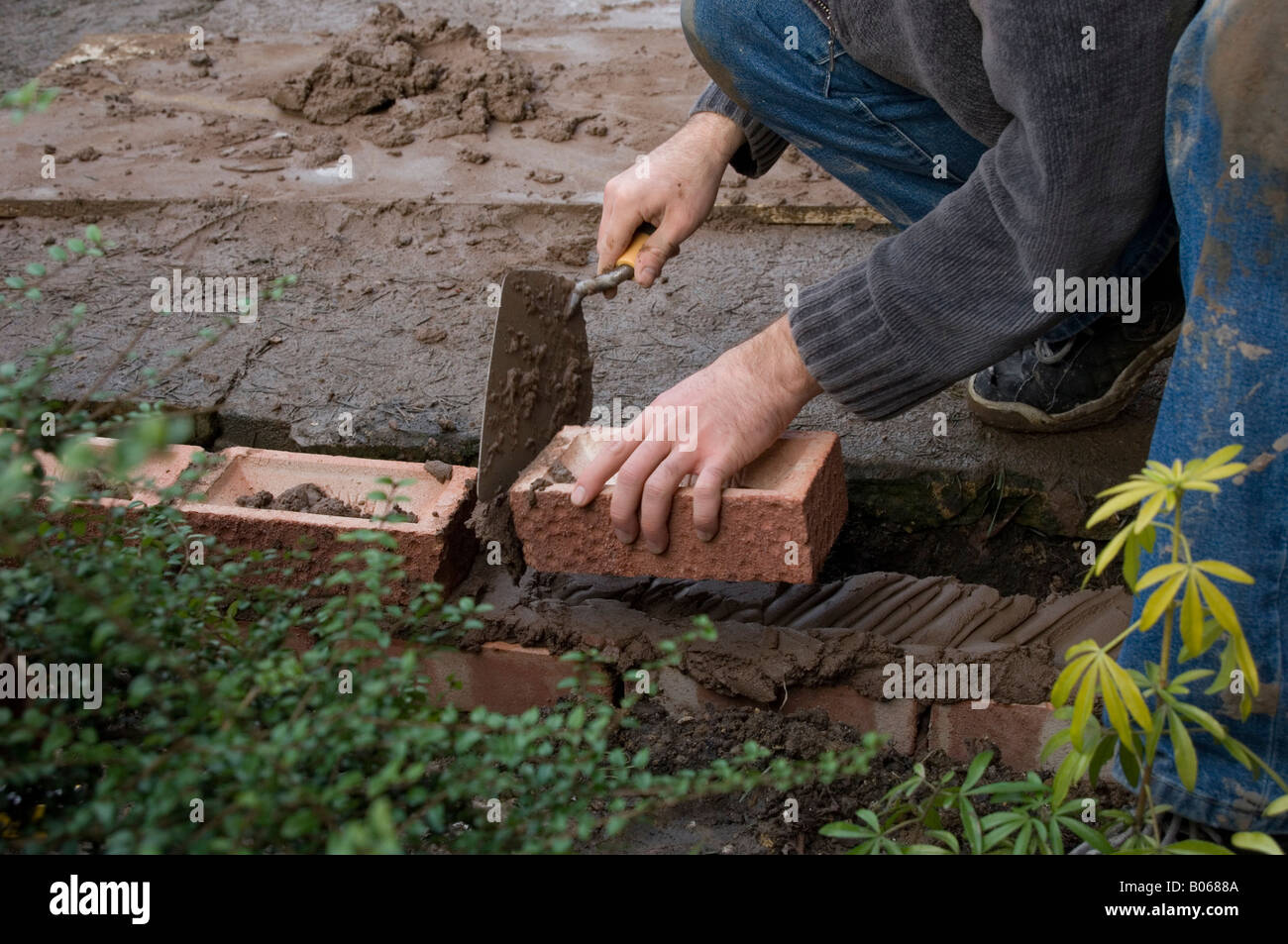 DIY How to build a brick wall Stock Photo - Alamy