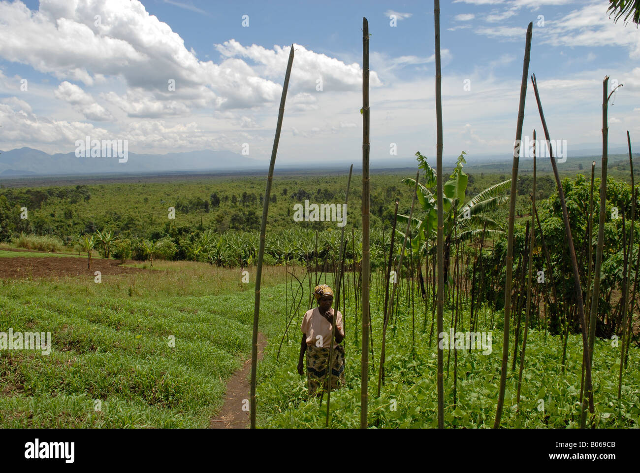 Congolese farmer hi-res stock photography and images - Alamy