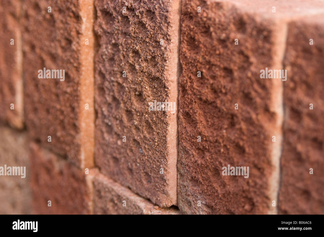 DIY How to build a brick wall Stock Photo - Alamy