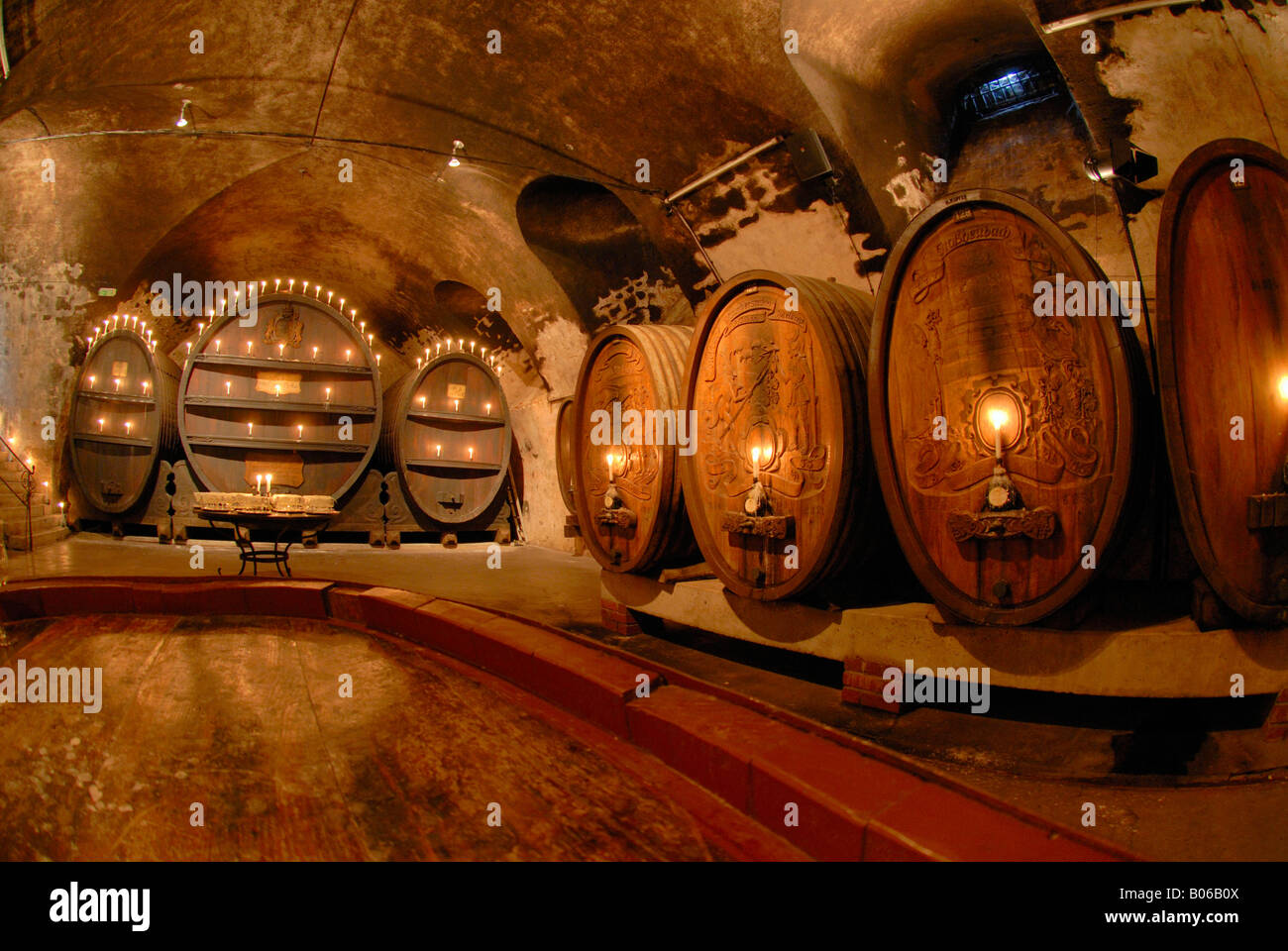 Europe, Germany, Bavaria, Wurzburg, Bishop's residence, wine cellar ...