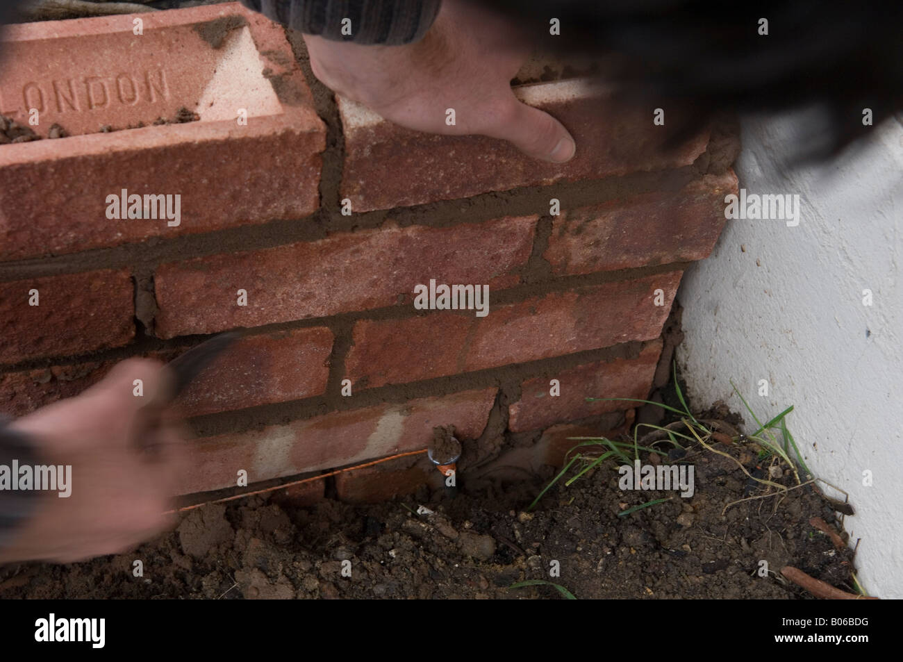 DIY How to build a brick wall Stock Photo - Alamy
