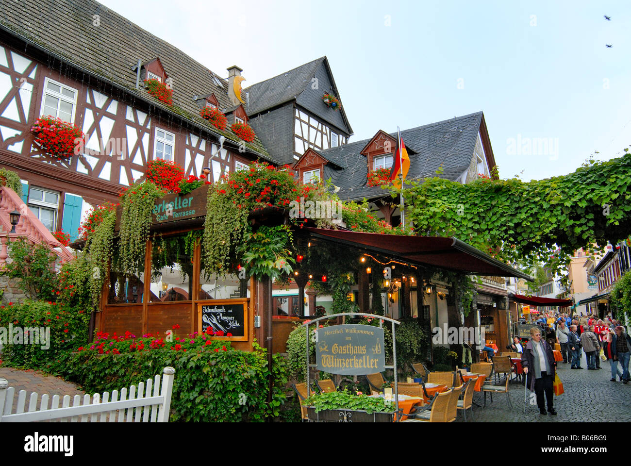 Europe, Germany, Hessen, Rudesheim am Rhein, Gasthaus Winzerkeller ...