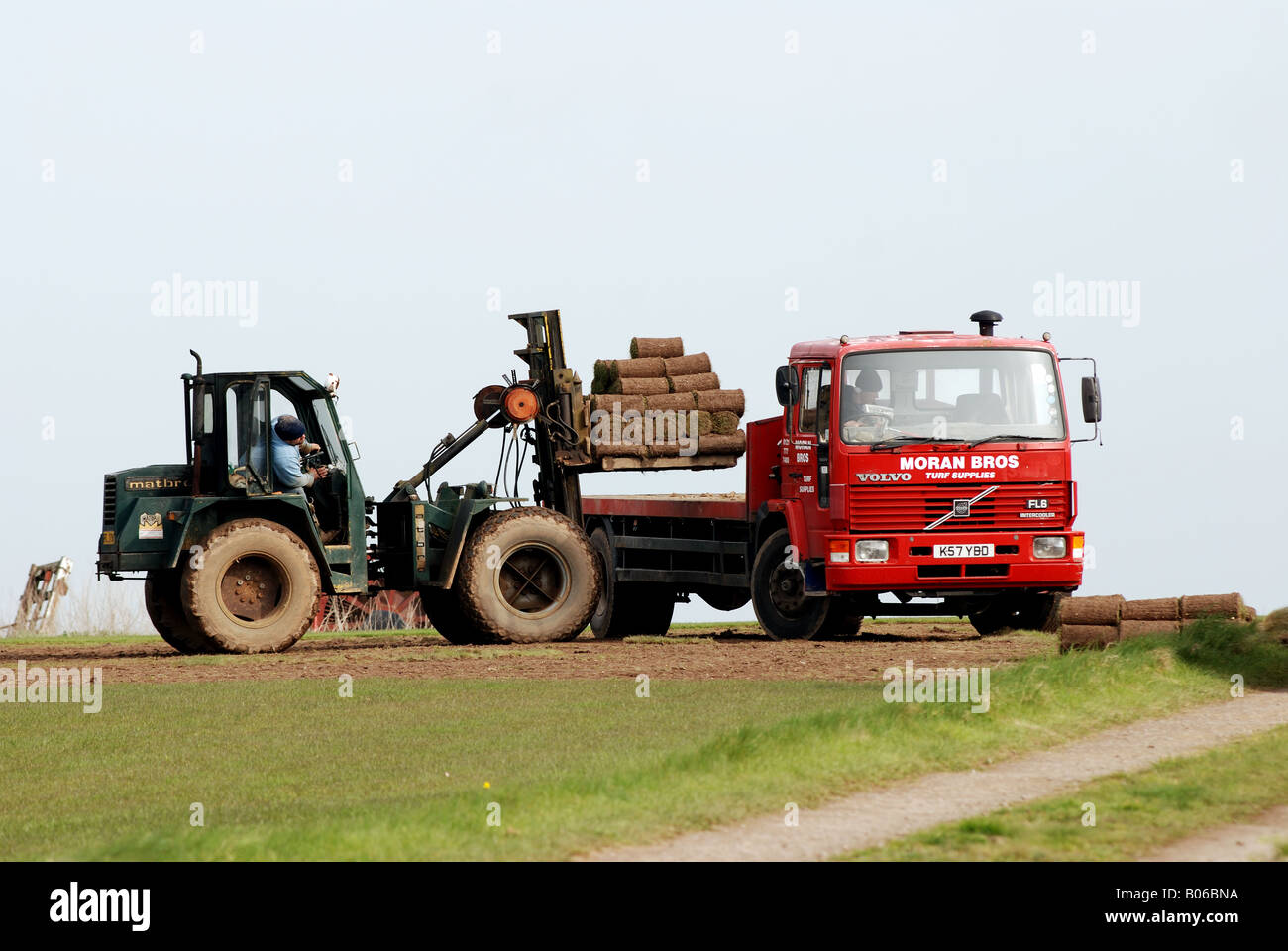 Commercial turf growers loading pallet of turf onto lorry, UK Stock ...