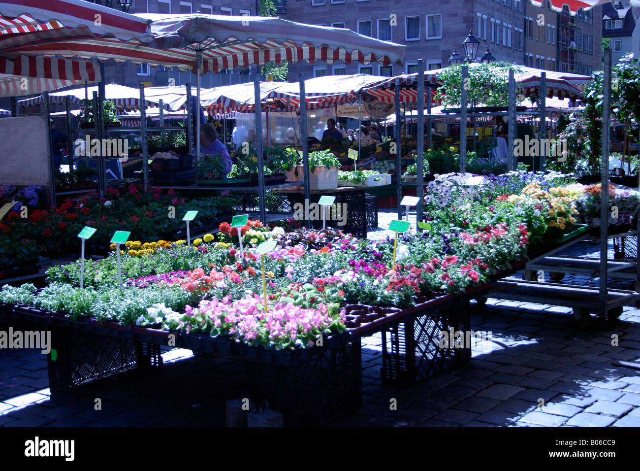 flower market in central square Stock Photo - Alamy