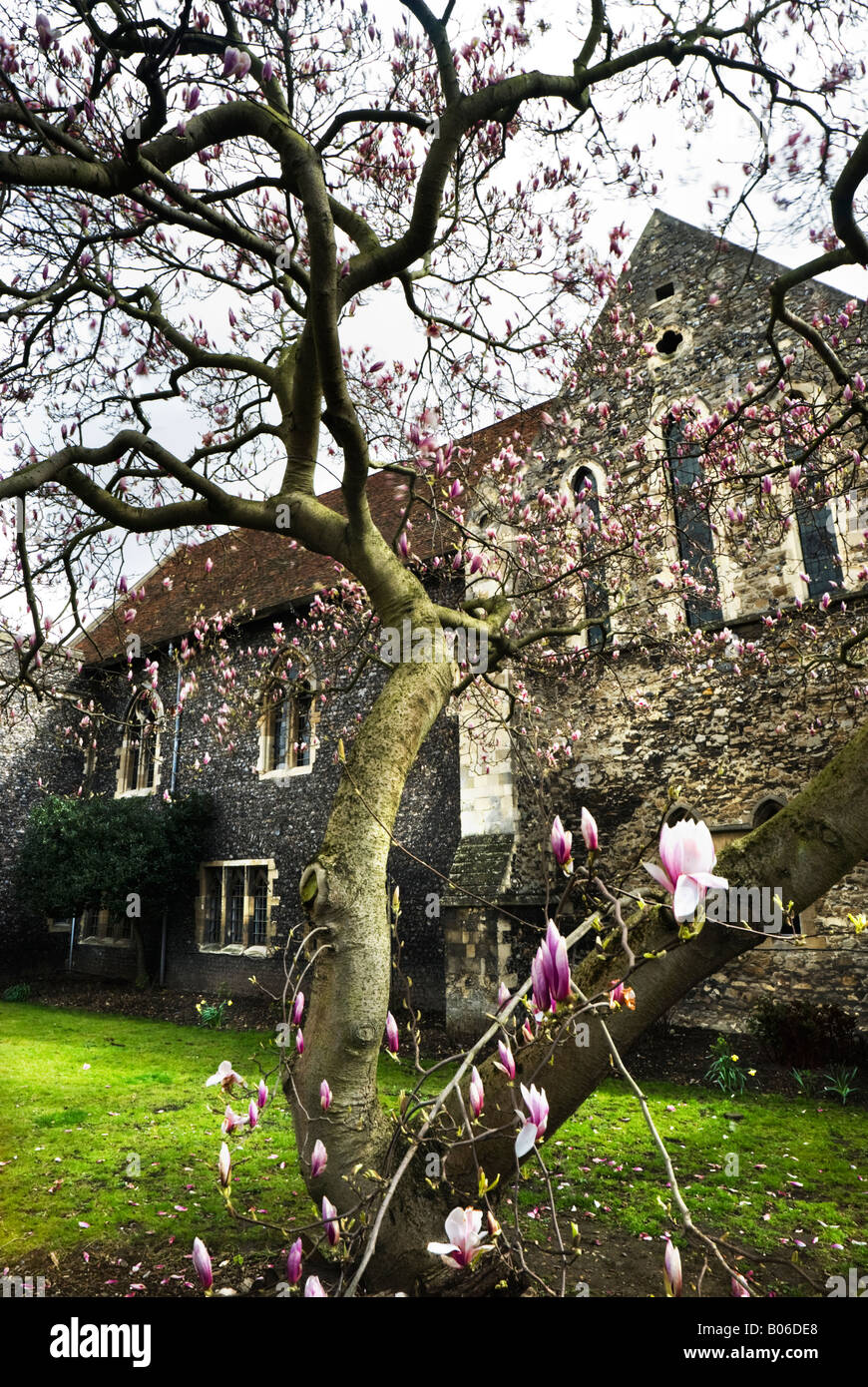 Spring in Canterbury, Kent,UK Stock Photo - Alamy