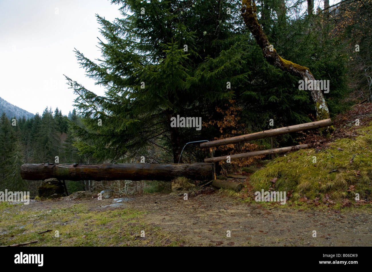Alpine water trough high in the French Alps Stock Photo - Alamy