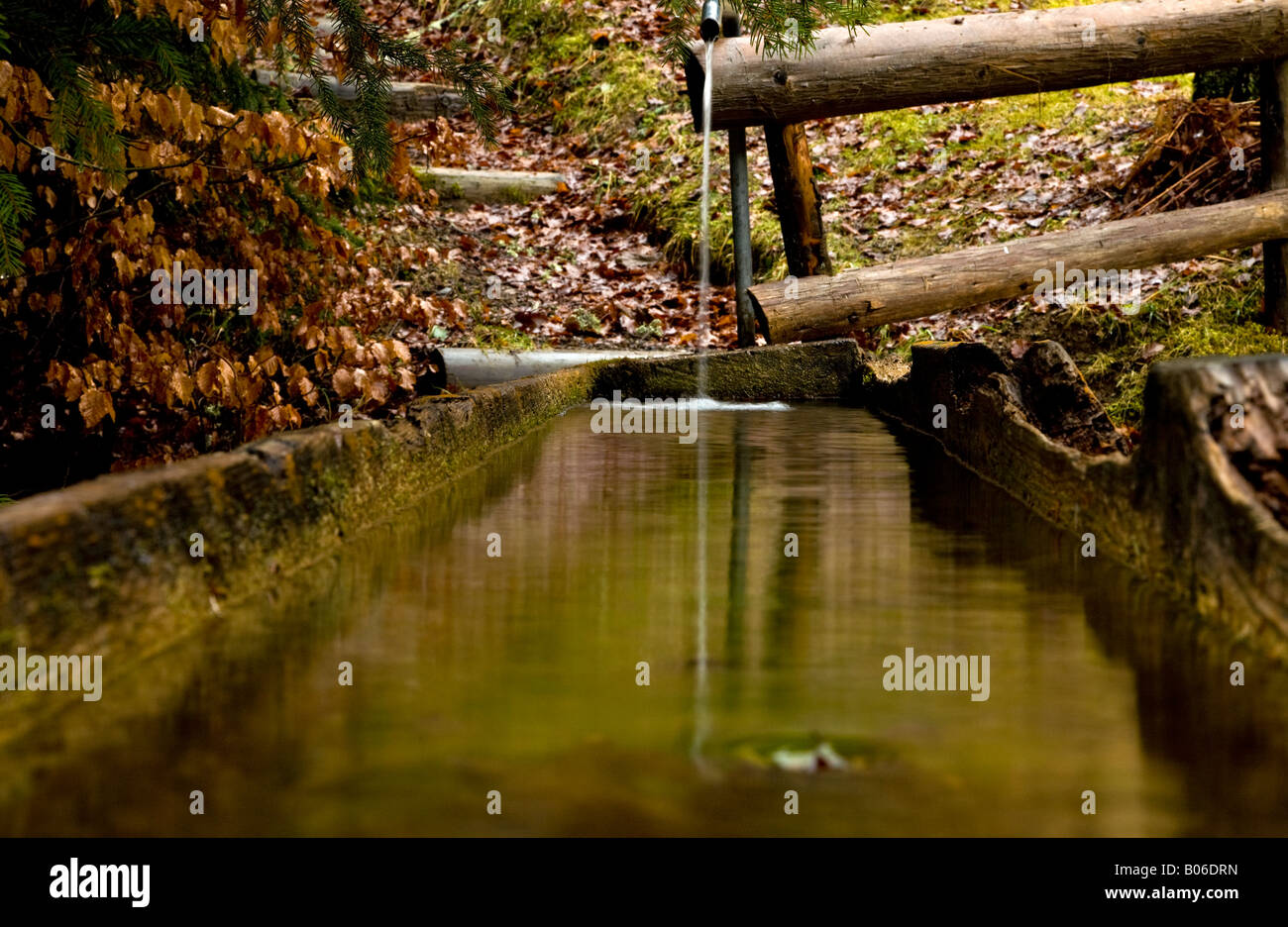 Alpine water trough high hi-res stock photography and images - Alamy
