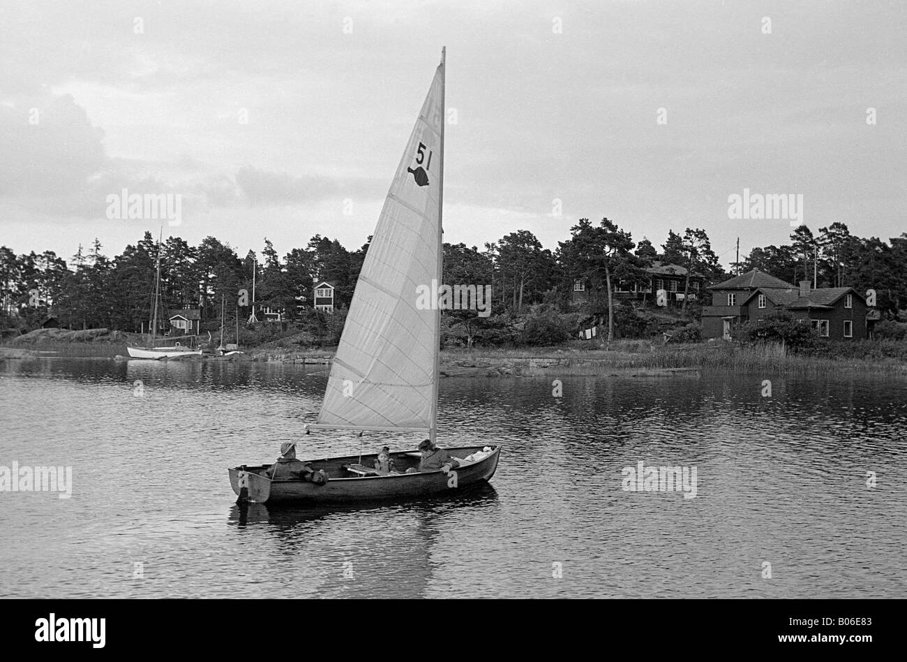 Robin summer Black and White Stock Photos & Images - Alamy