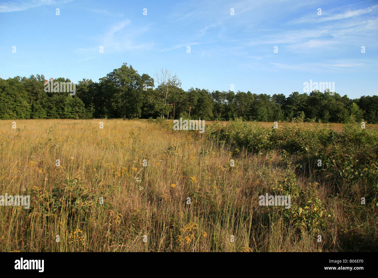Trench in civil war hi-res stock photography and images - Alamy