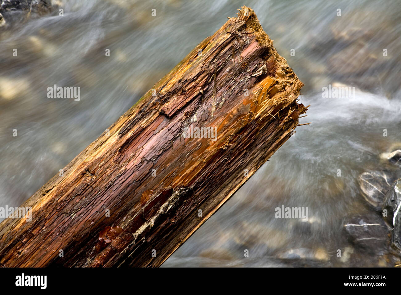 Flow cut out hi-res stock photography and images - Alamy