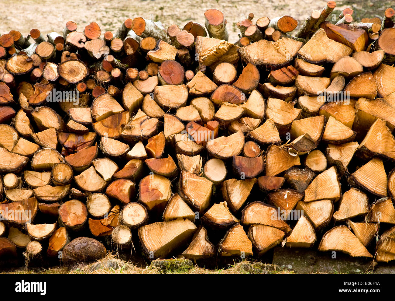 A woodpile consisting of irregularly shaped logs end on Stock Photo - Alamy
