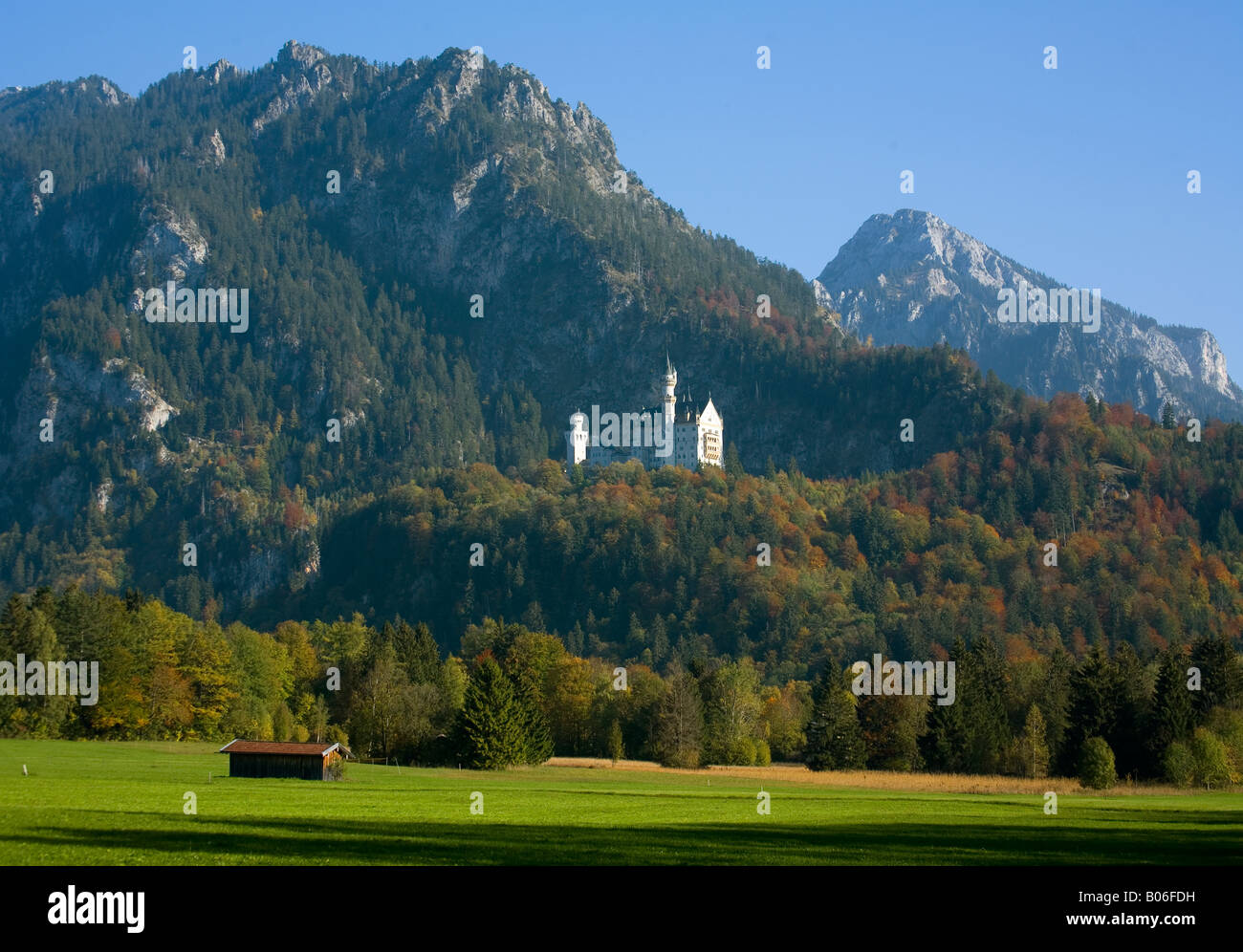 Neuschwanstein Castle at fall Bavaria Germany Stock Photo - Alamy