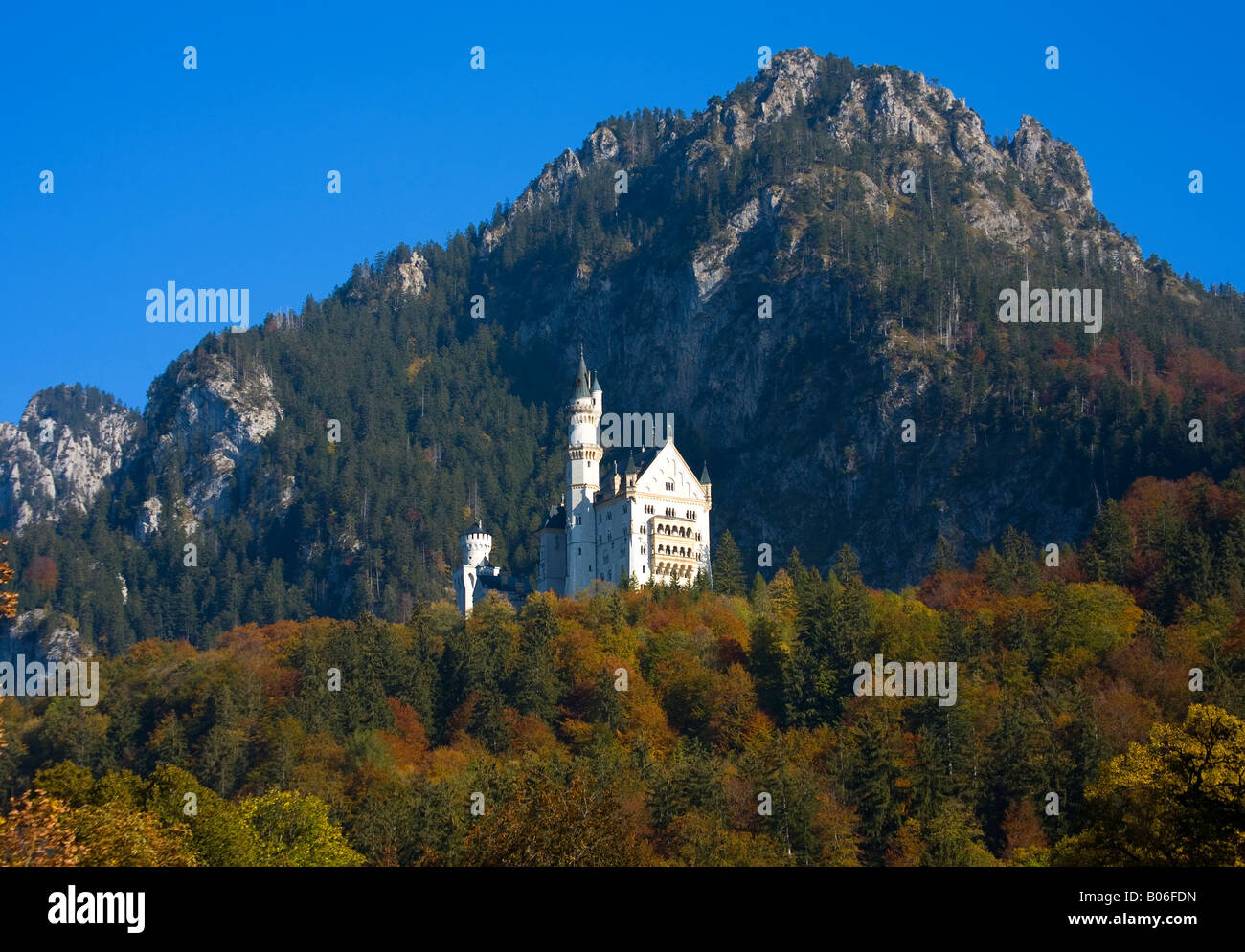 Neuschwanstein Castle at fall Bavaria Germany Stock Photo - Alamy