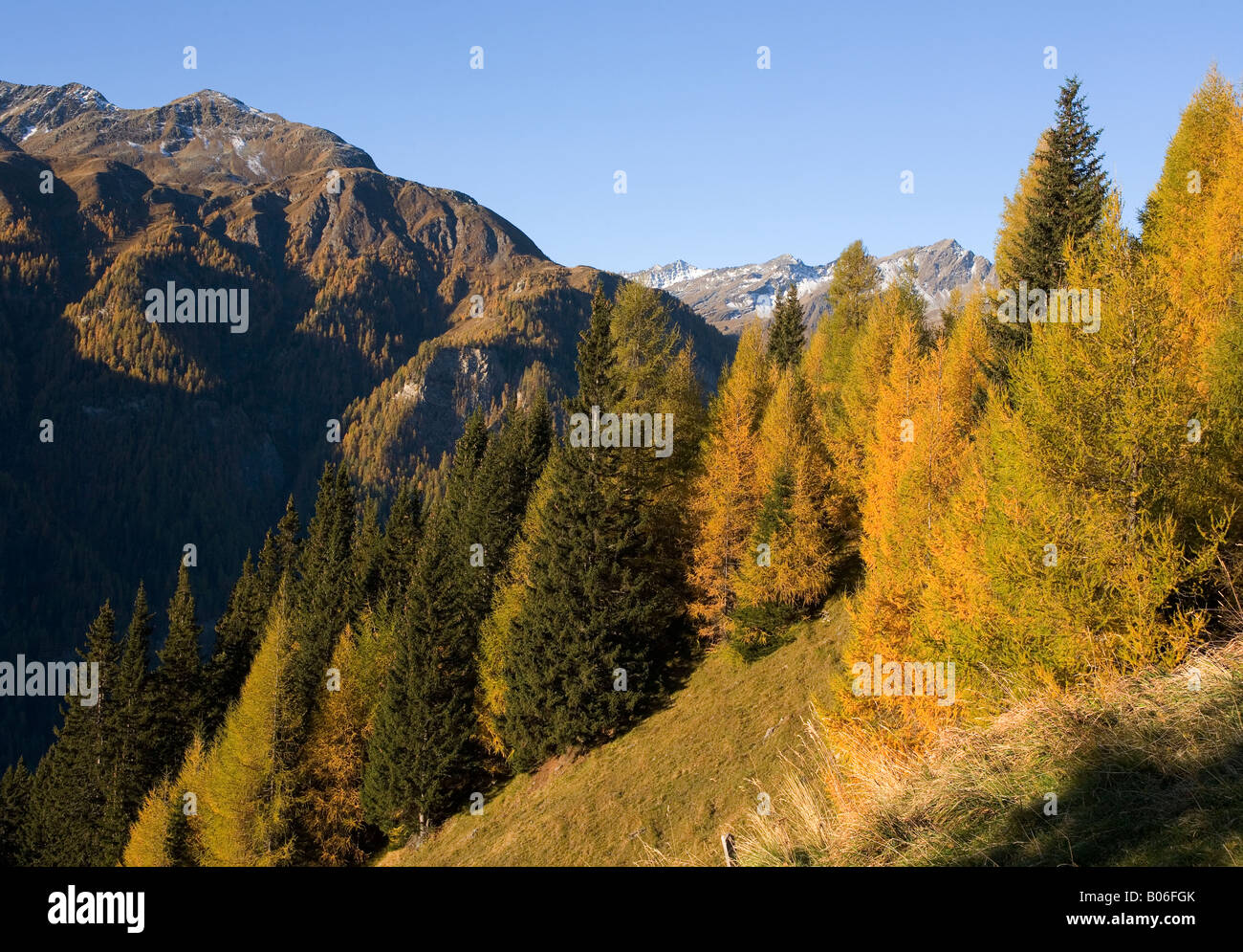High Alps at fall Austria Stock Photo - Alamy