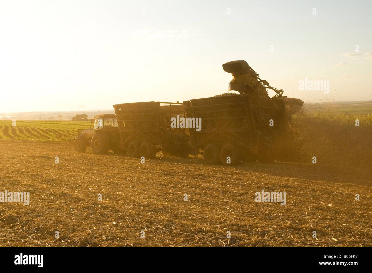 Cane transport hi-res stock photography and images - Alamy