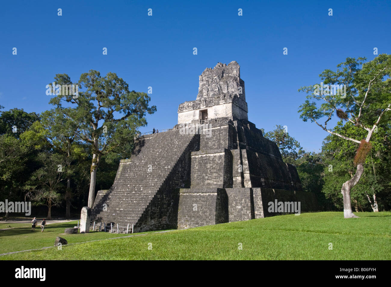 Guatemala, El Peten, Tikal, Gran Plaza, Temple 11 Stock Photo - Alamy
