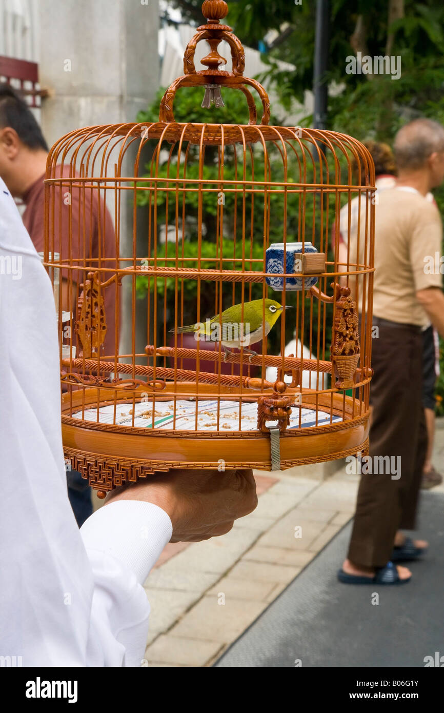 China, Hong Kong, Kowloon, Yuen Po Bird market Stock Photo - Alamy