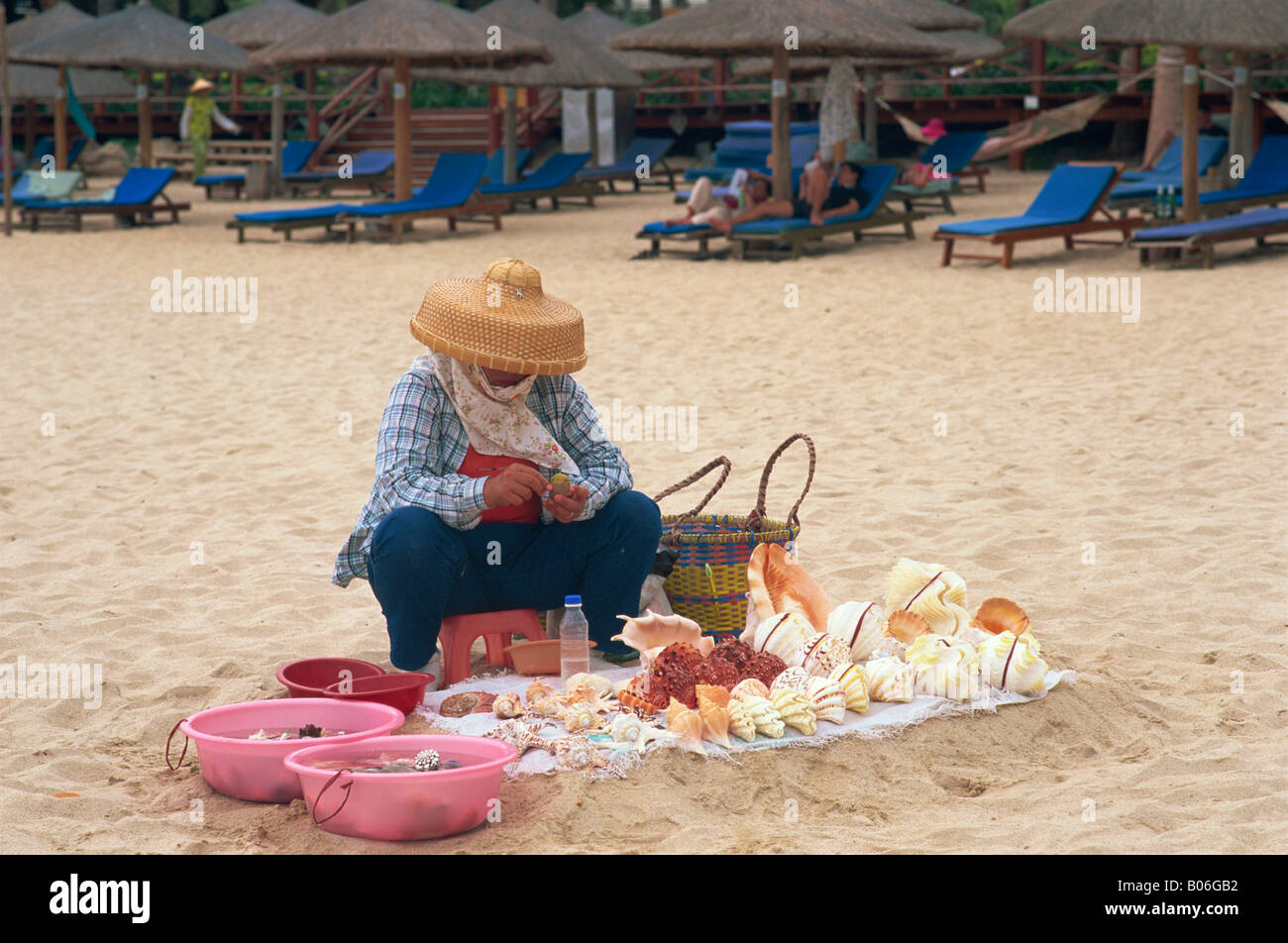 Seashell island hi-res stock photography and images - Alamy