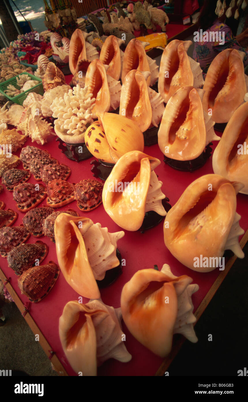 China, Hainan Island, Sanya, Dadonghai Beach, Seashells for Sale Stock ...