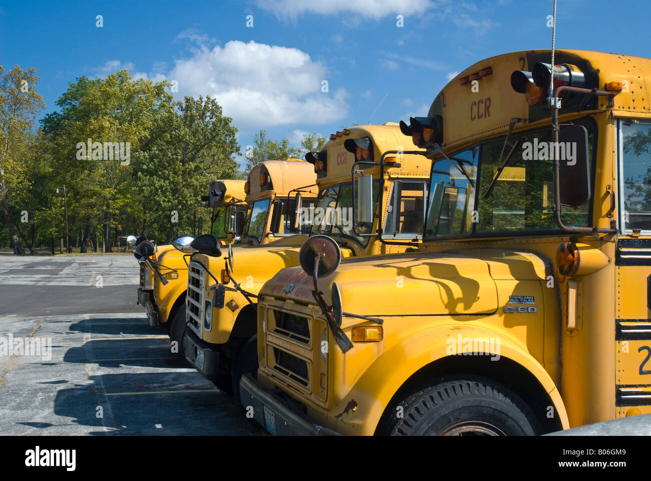 USA, Missouri, Stanton, yellow School Buses Stock Photo - Alamy