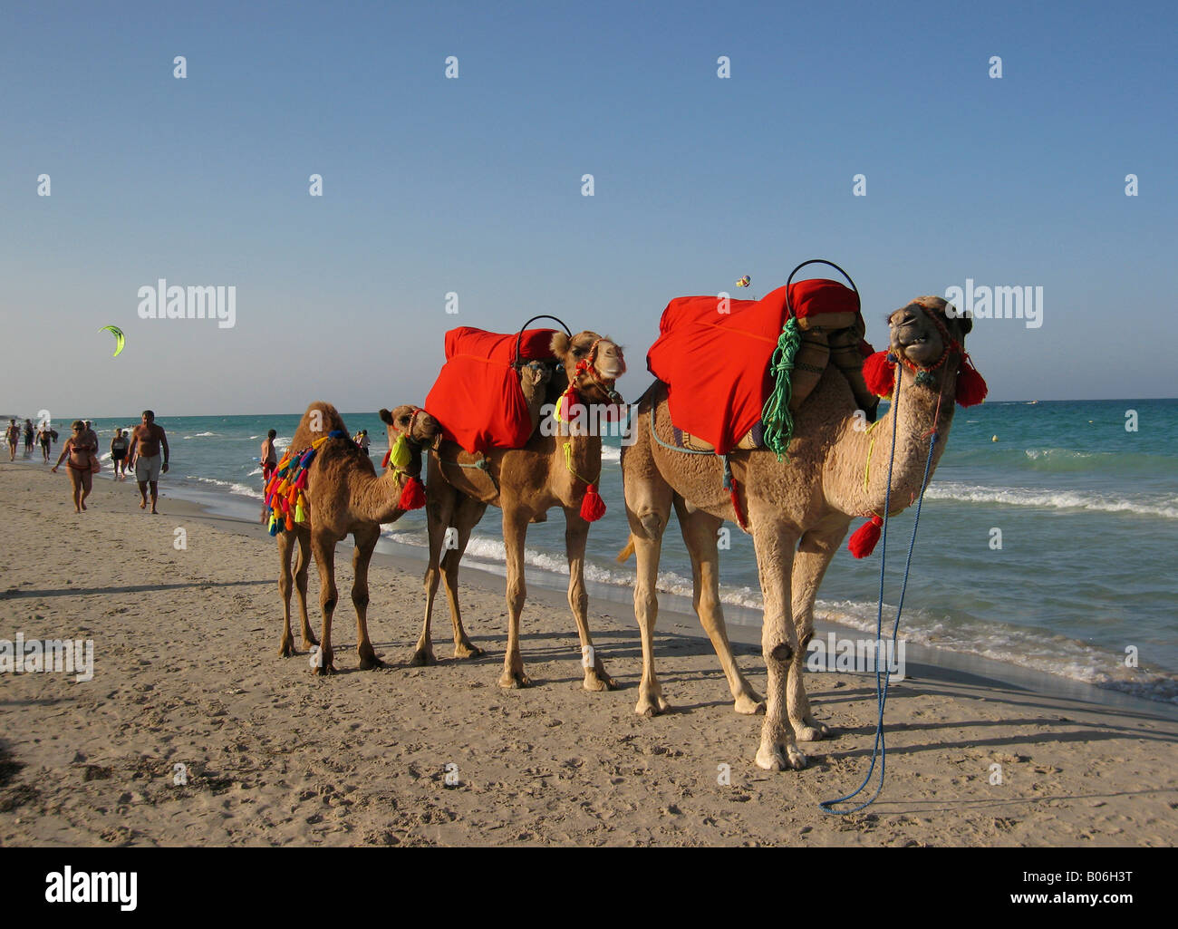 Tunisia Djerba Island beach Stock Photo - Alamy
