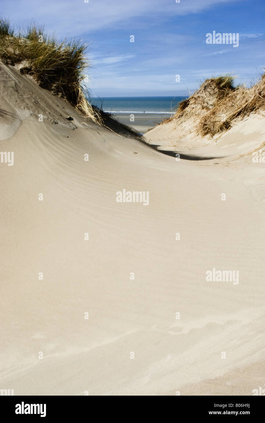 Sand Dunes at De Panne, Belgium Stock Photo - Alamy