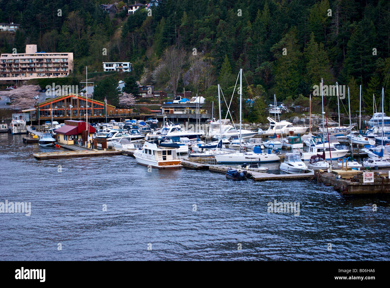 Sewell's Marina in Horseshoe Bay at sunrise from the deck of the BC ...