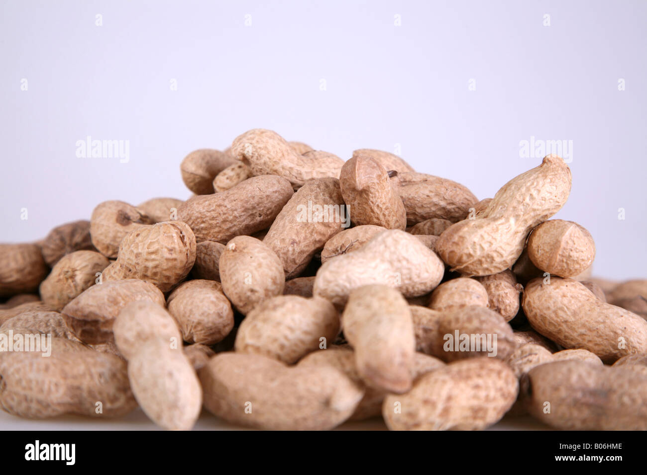 Manila Nuts High Resolution Stock Photography and Images - Alamy