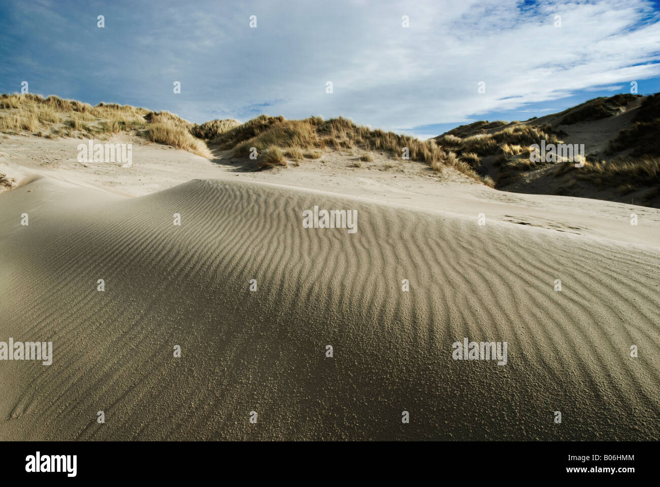 Sand dunes at De Panne, Belgium Stock Photo - Alamy