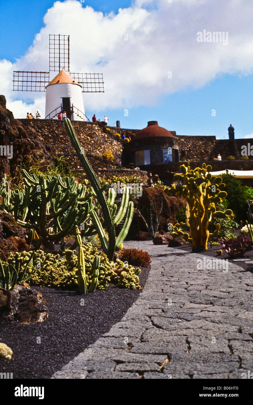 Jardin de Cactus Stock Photo - Alamy